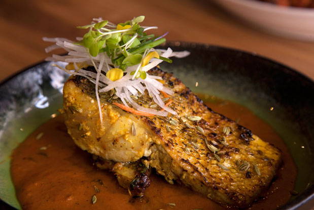 Pukka - Streets Of Toronto Restaurant Guide