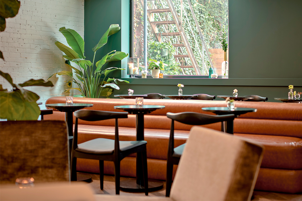 Annex Café and Wine Bar - Streets Of Toronto Restaurant Guide