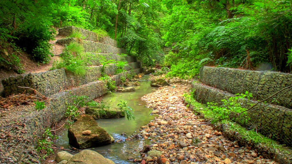 Five ravine walks to avoid the crowds and stay cool in Toronto