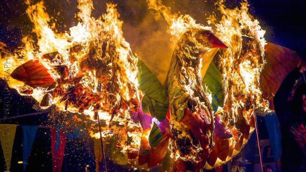 The most unique holiday shows to check out in Toronto this season ...