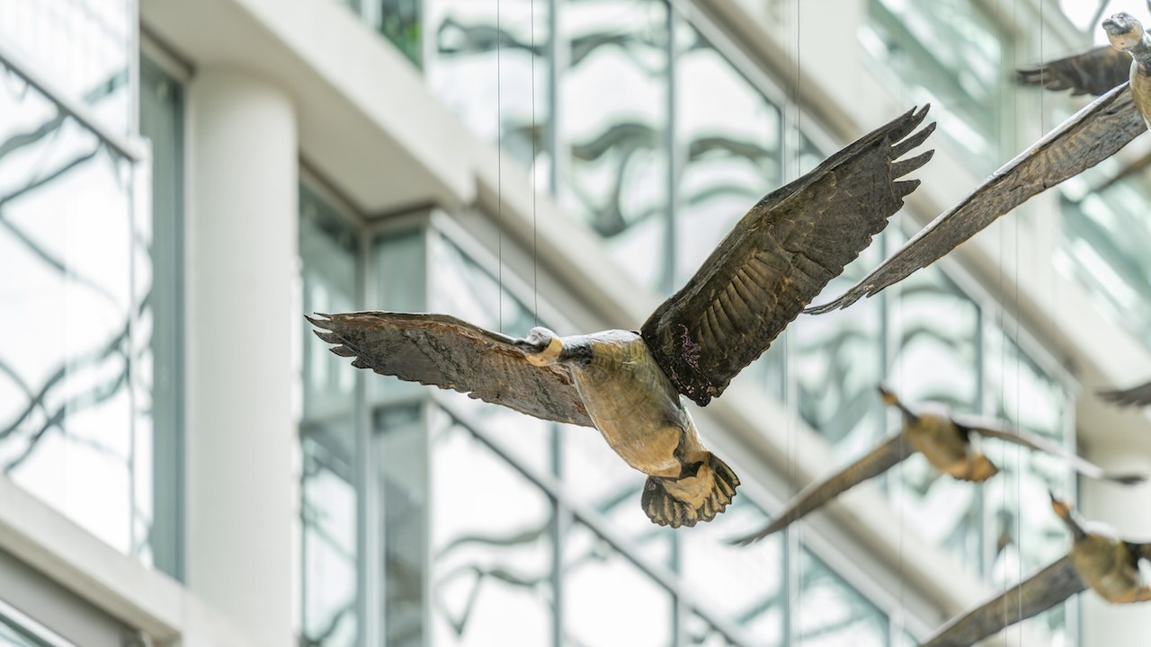 Eaton Centre's famous geese art installation is returning to mall ...