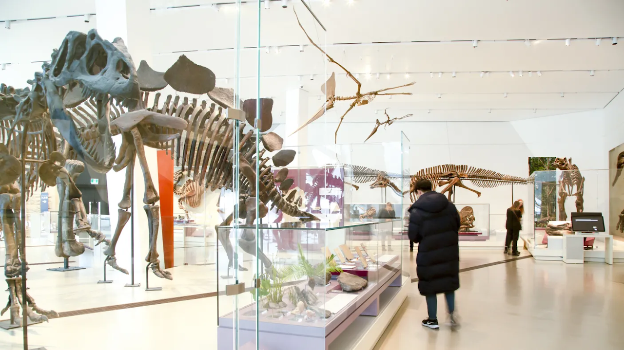 The best museums to visit in Toronto - Streets Of Toronto