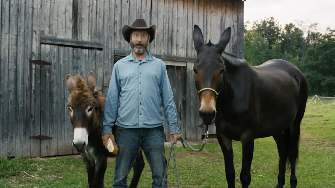 Comedy legend Tom Green: TikTok OG and homesteader has a trio of new ...