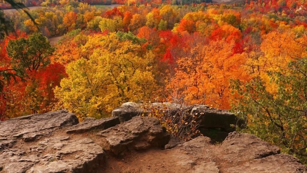 The best places to see the fall colours in Ontario
